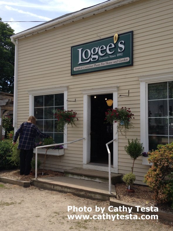 For a mystical and eclectic plant mix, visit Logee’s in Danielson, CT ...