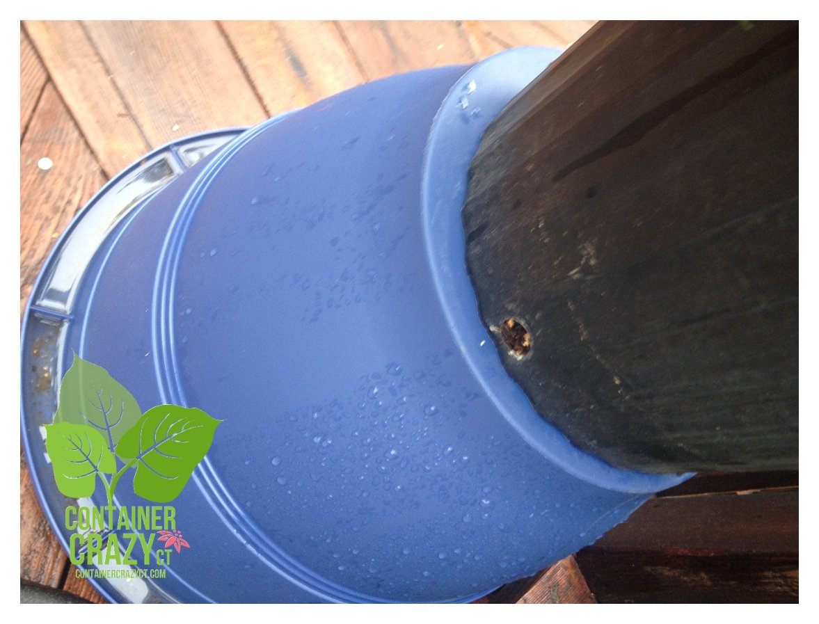 Elevate to Alleviate Potential Plant Problems in Your Patio Pots ...