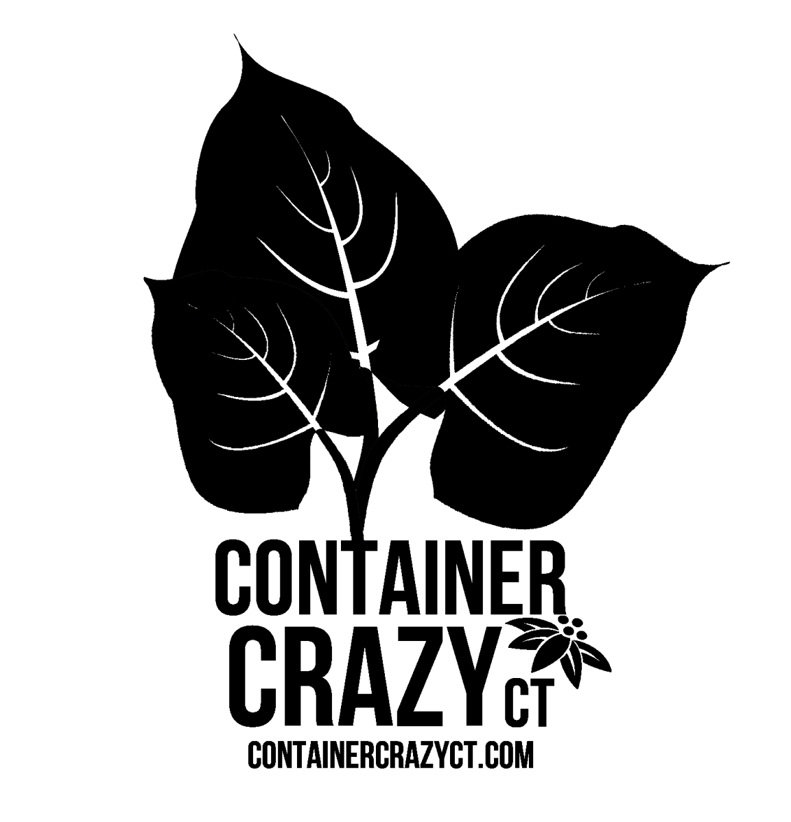 ABOUT | Container Crazy CT