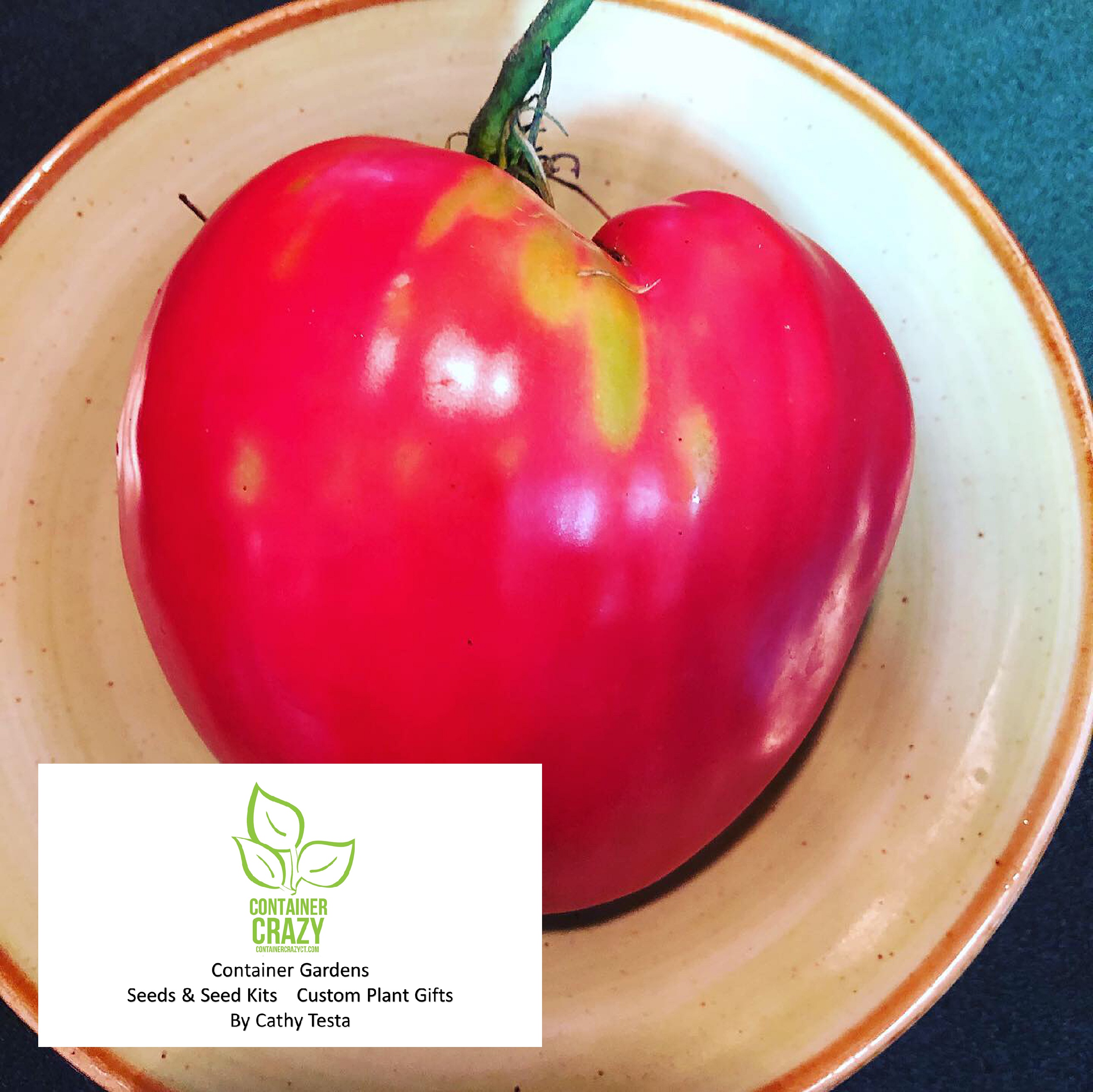 Grow a Giant Tomato, as Big as Your Heart | Container Crazy CT