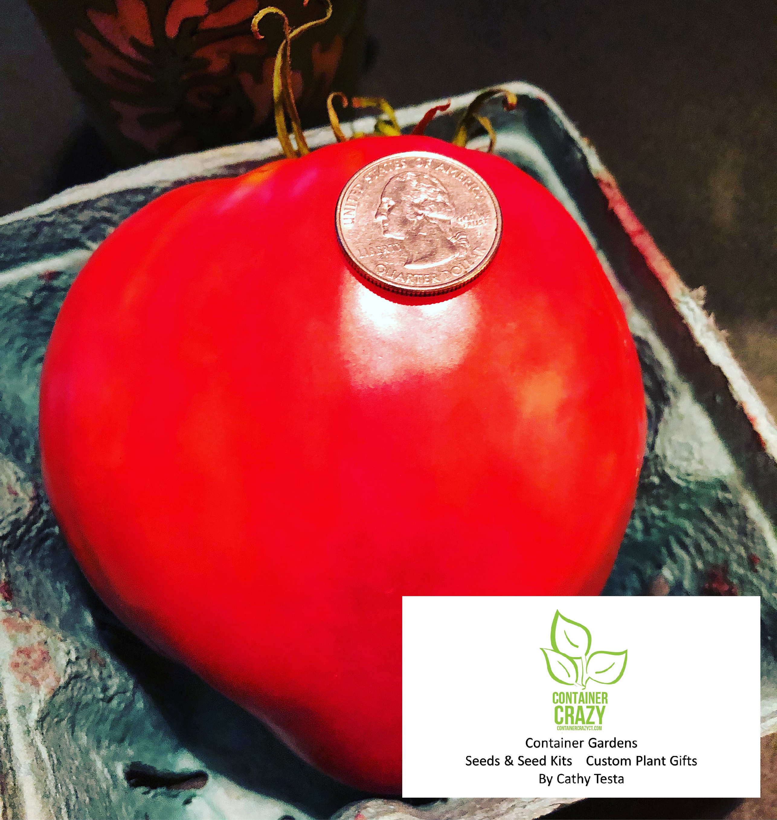 Grow a Giant Tomato, as Big as Your Heart | Container Crazy CT