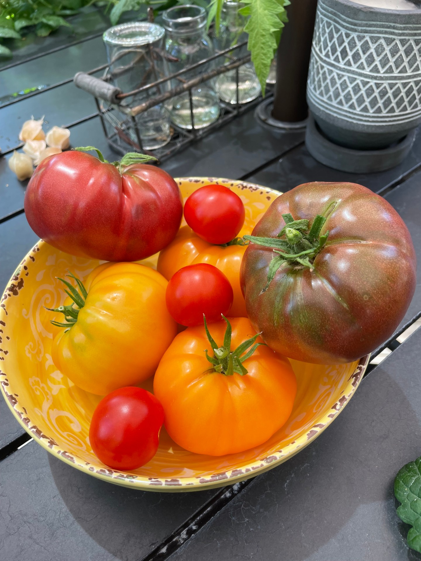 Growing Your Own Tomatoes and How to Start | Container Crazy CT
