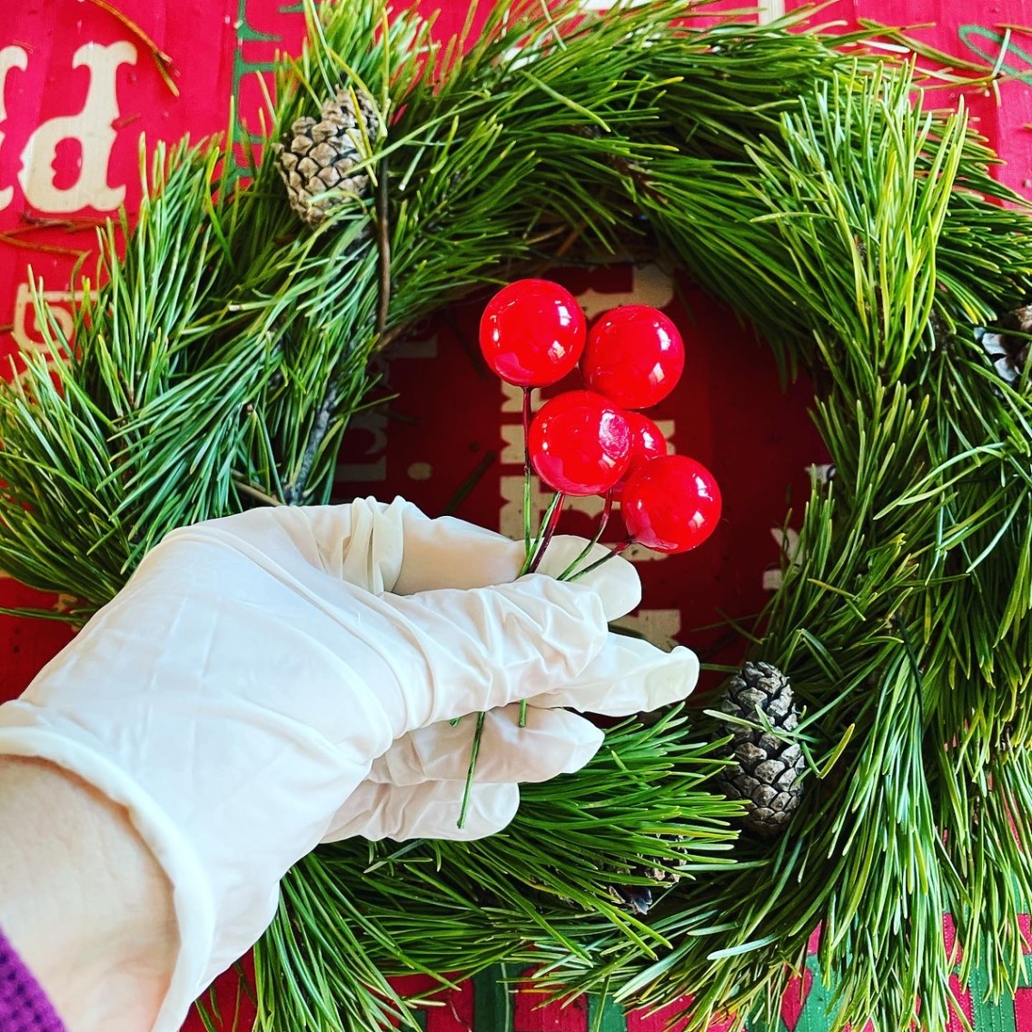 Container Crazy CT | "Combining Nature with Art and Container Gardening"