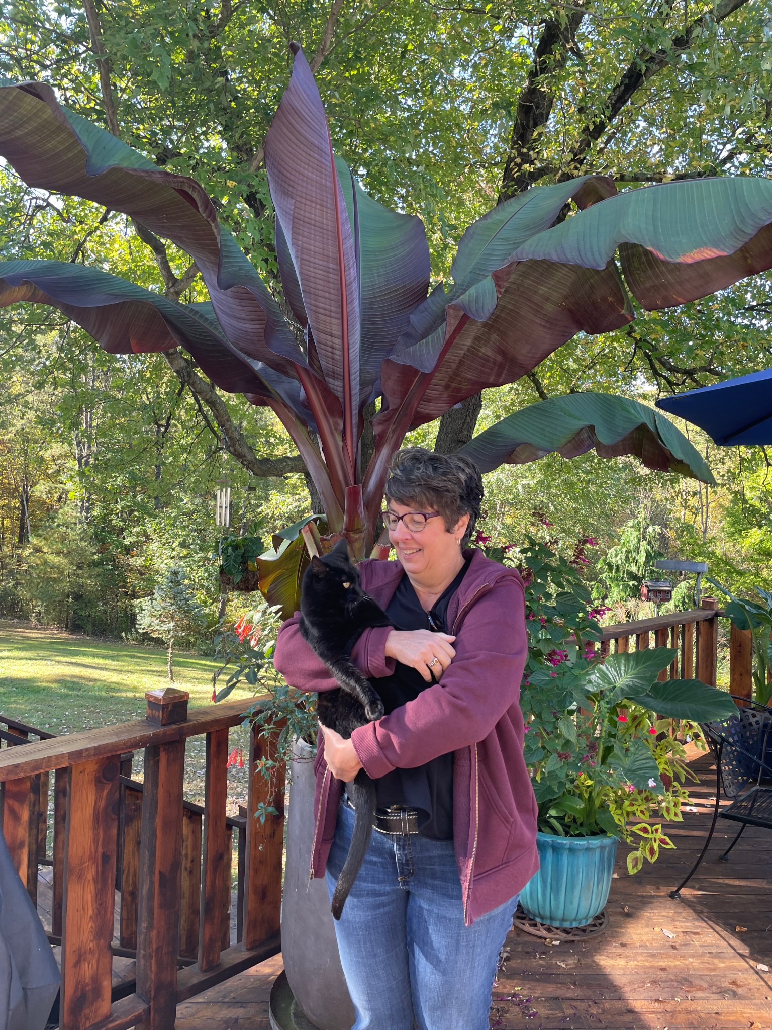 Container Crazy CT | "Combining Nature with Art and Container Gardening"