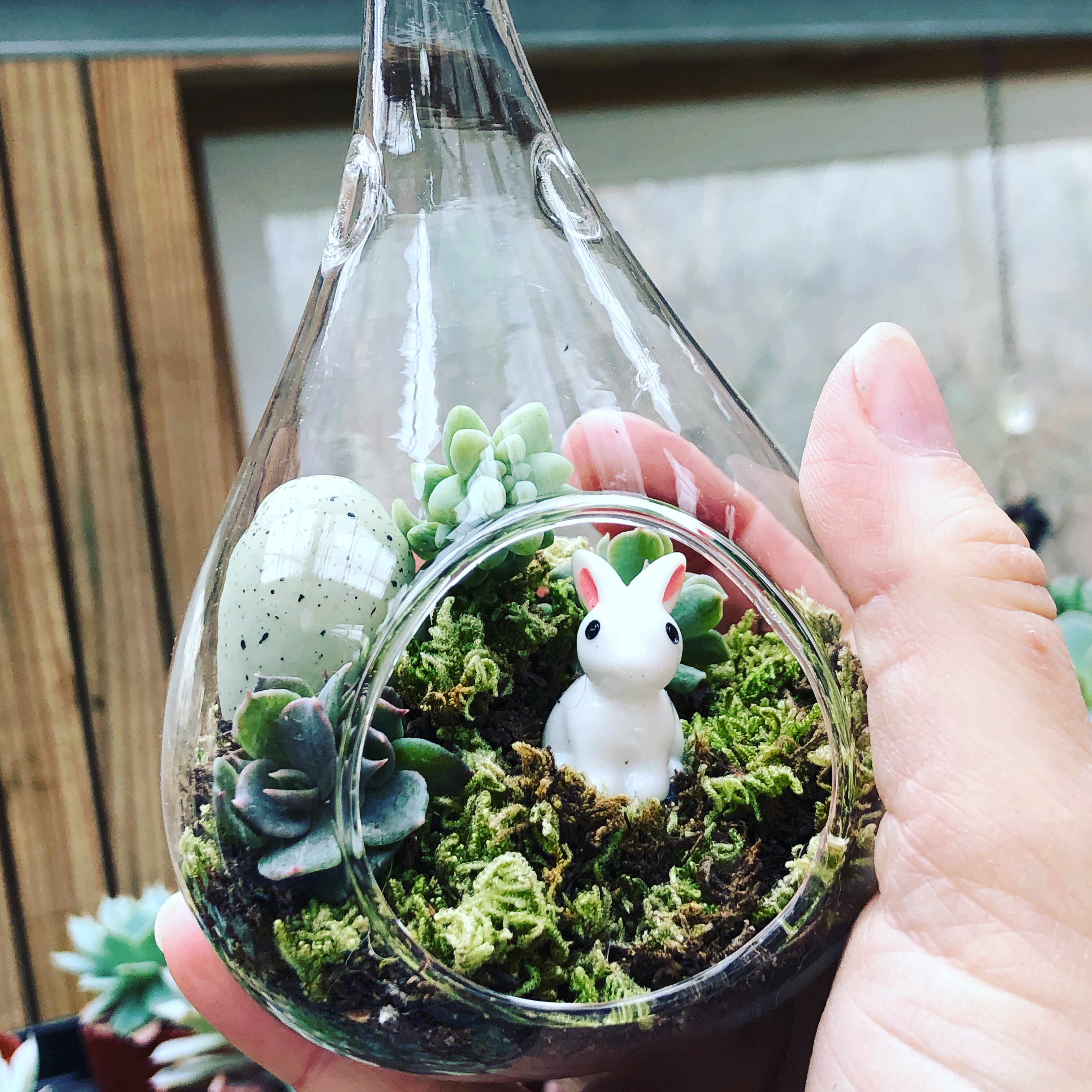 Easy Moss Crafts for a Beautiful Easter | Container Crazy CT